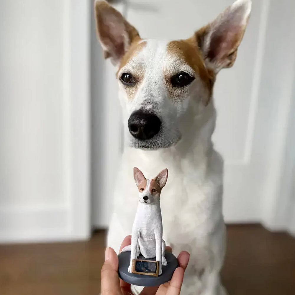 Custom Pet Bobbleheads, Custom Animal Bobbleheads – BobbleGifts